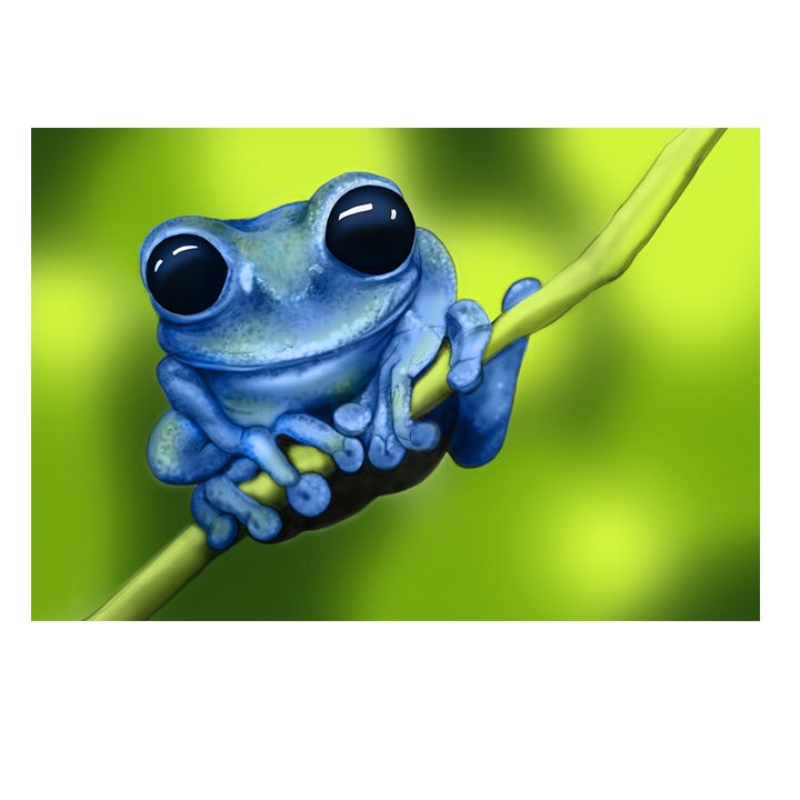 Blue Toed Tree Frog